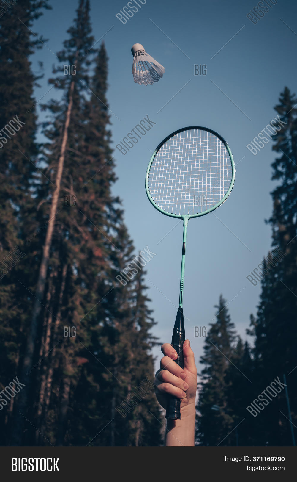Hand Holds Badminton Image & Photo (Free Trial) | Bigstock