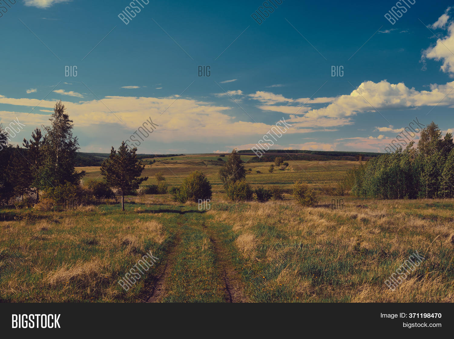 Landscape Central Image & Photo (Free Trial) | Bigstock