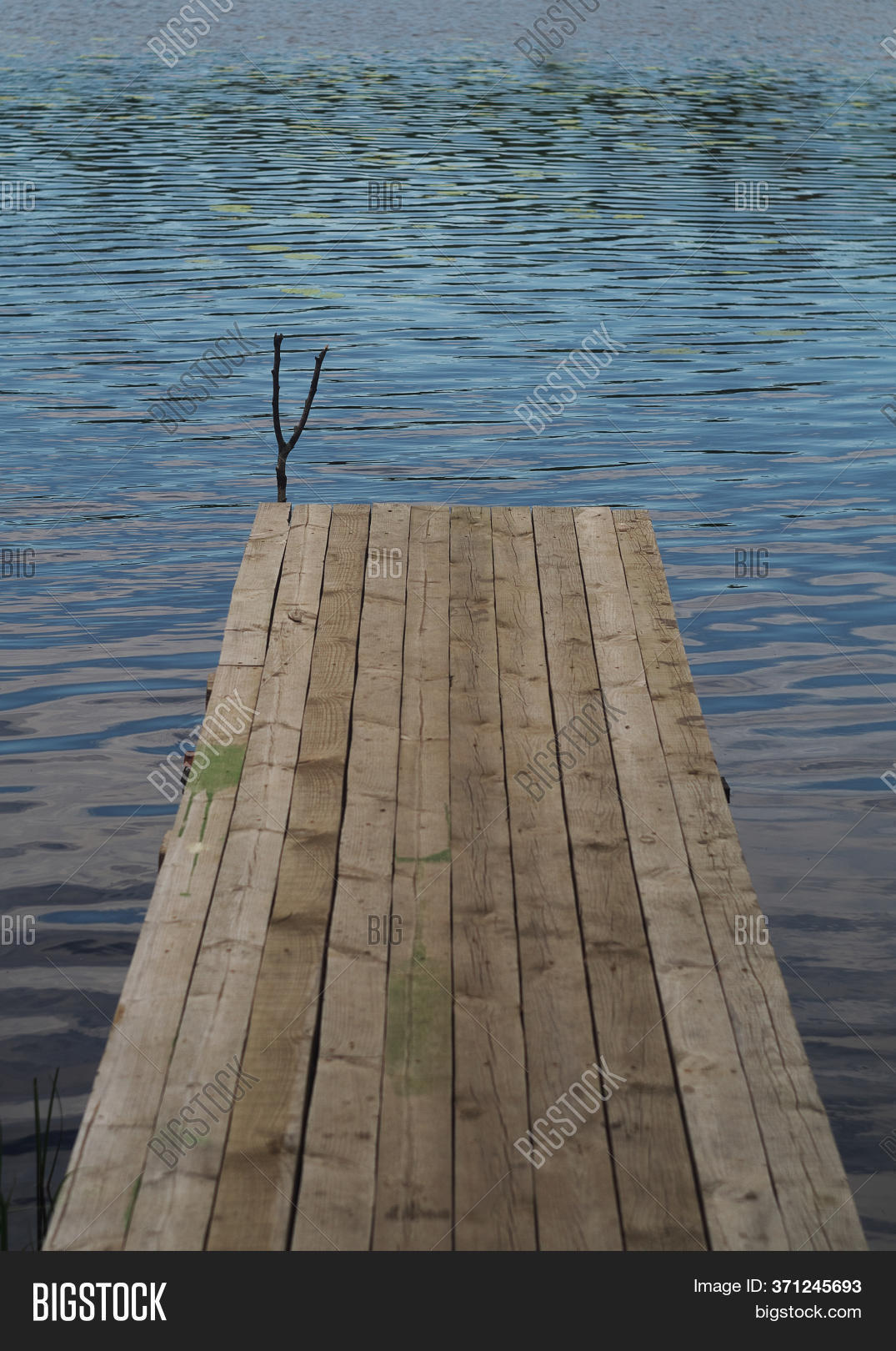 Beautiful Lake Diving Image & Photo (Free Trial) | Bigstock