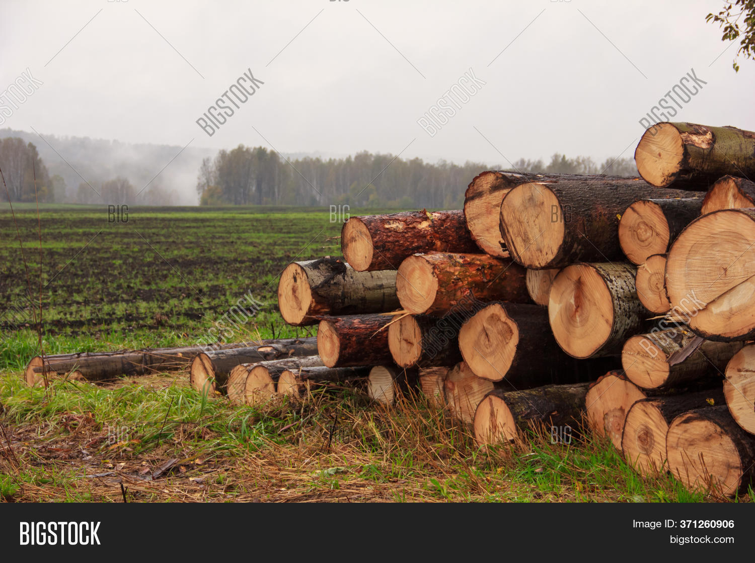 On Plowed Field, Close Image & Photo (Free Trial) | Bigstock