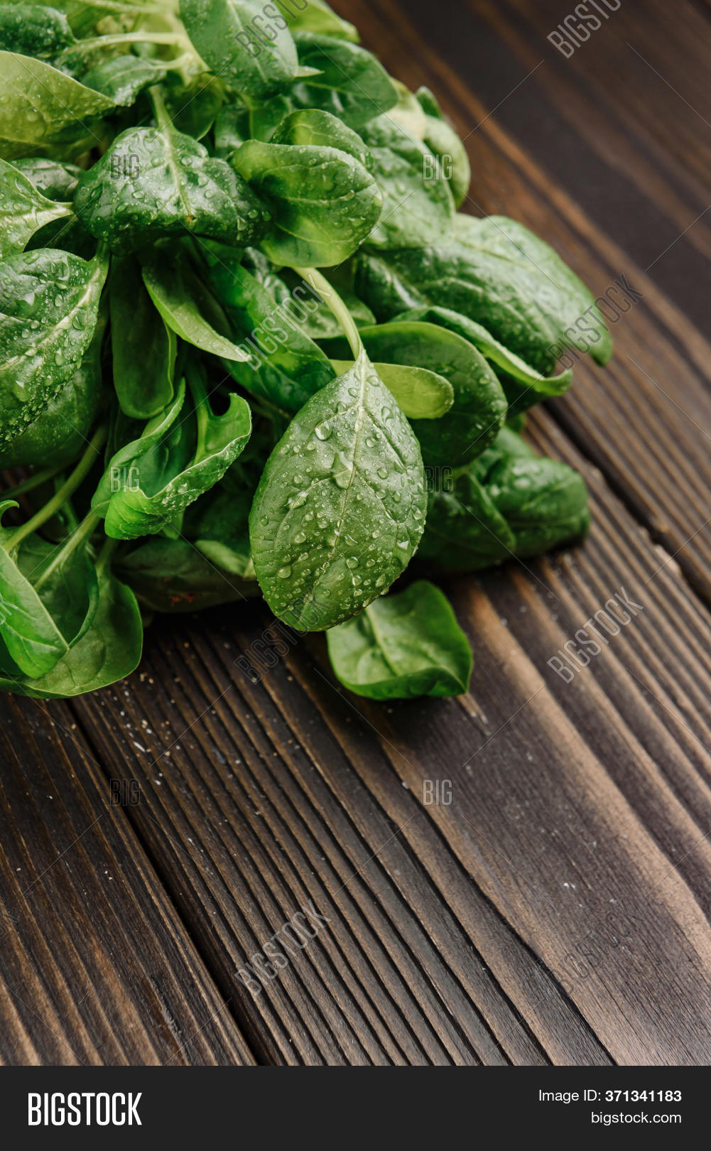 Wet Spinach Leaves On Image & Photo (Free Trial) | Bigstock