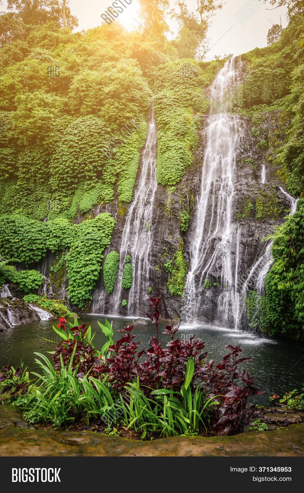 Jungle Waterfall Image & Photo (Free Trial) | Bigstock