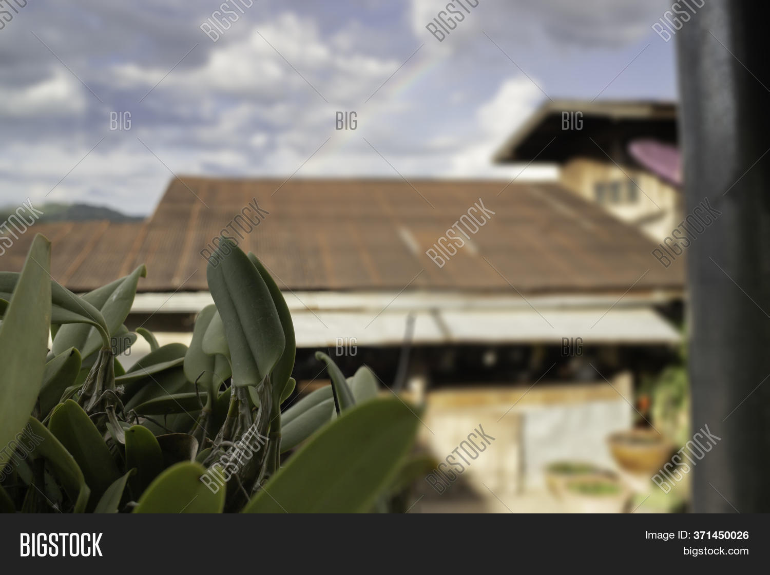 Vintage House Roof Image & Photo (Free Trial) | Bigstock