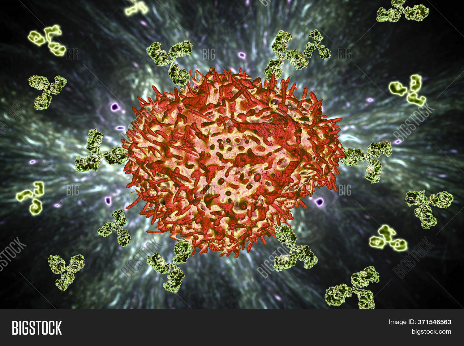 Plasma Cell Producing Image & Photo (Free Trial) | Bigstock