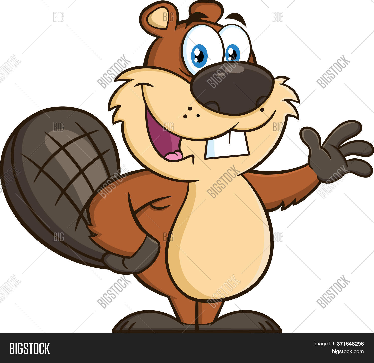 Beaver Cartoon Mascot Image & Photo (Free Trial) | Bigstock