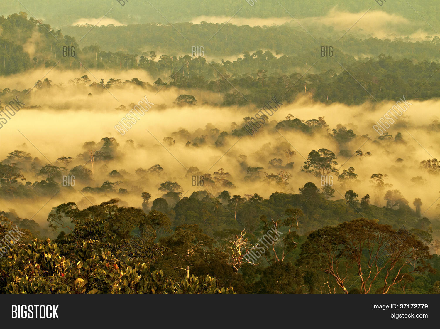 Sunrise Over Rain Image & Photo (Free Trial) | Bigstock