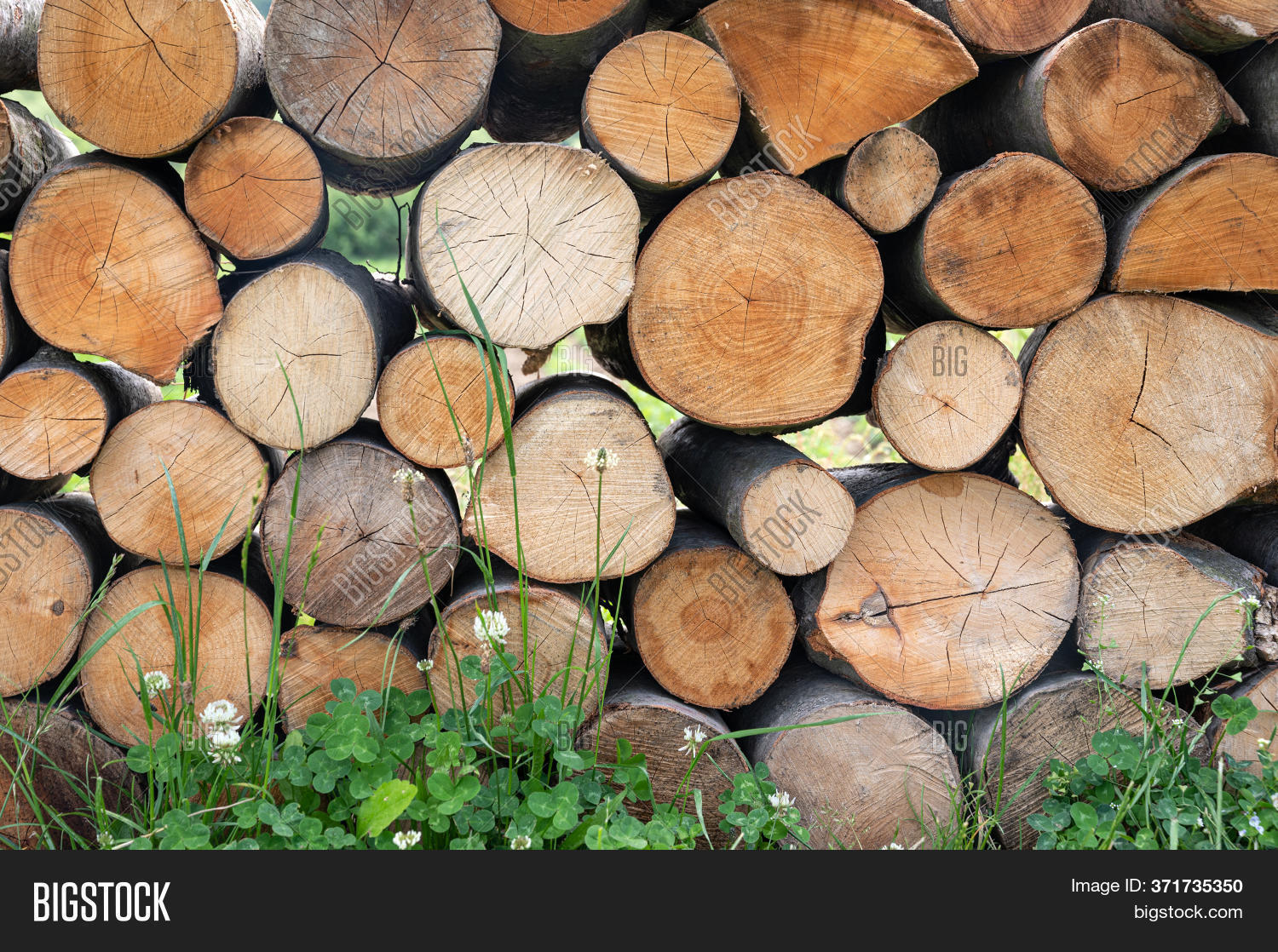 Pile Wood Logs Ready Image & Photo (Free Trial) | Bigstock