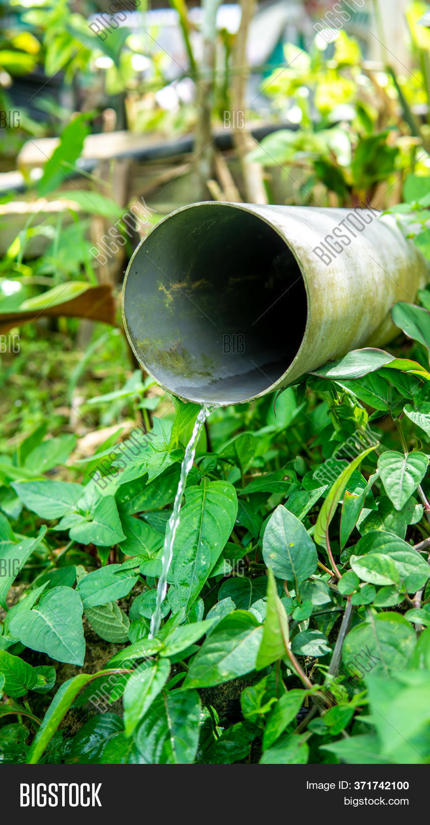Close View Drain Water Image & Photo (Free Trial) | Bigstock