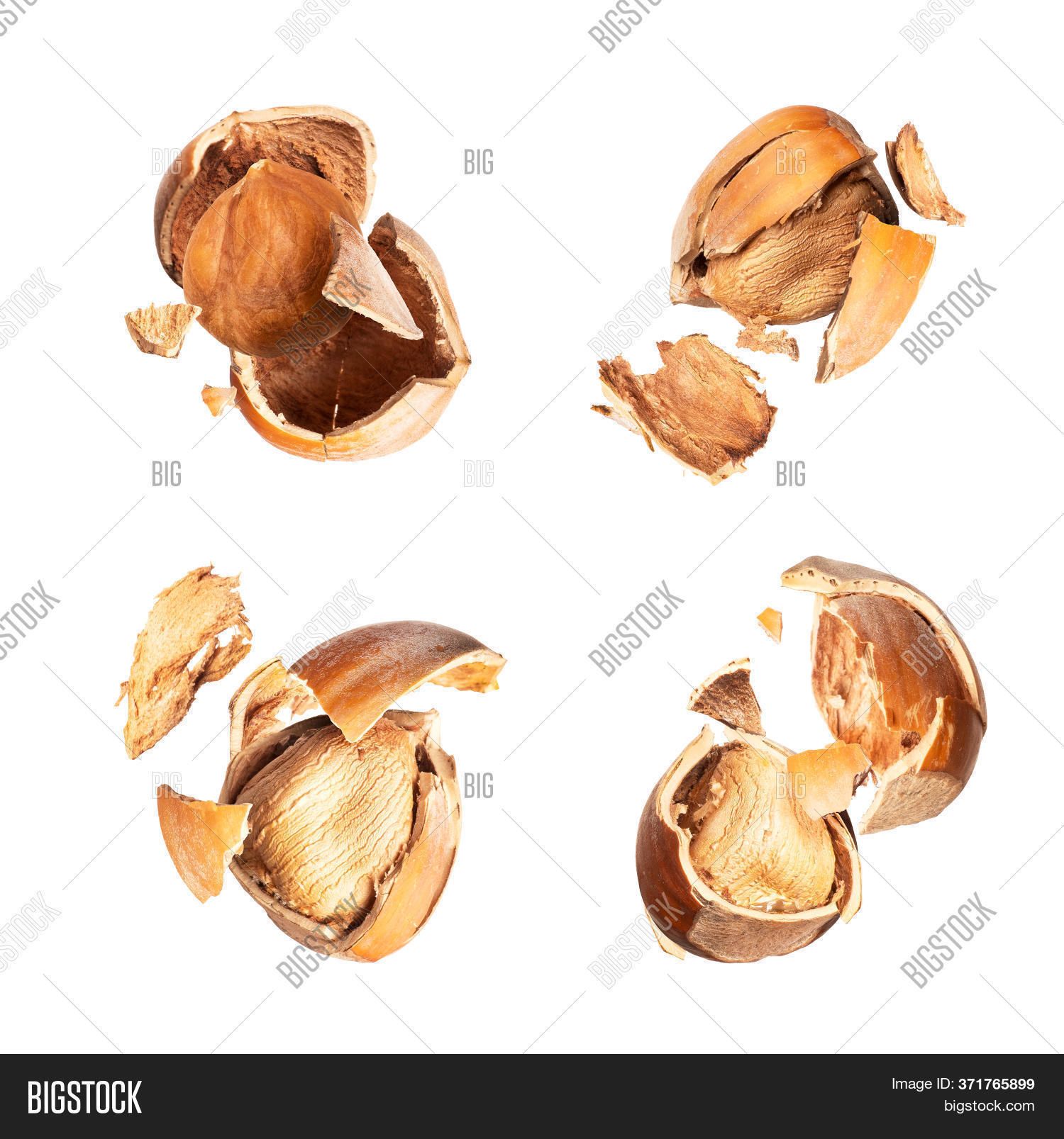 Set Crushed Hazelnuts Image & Photo (Free Trial) | Bigstock