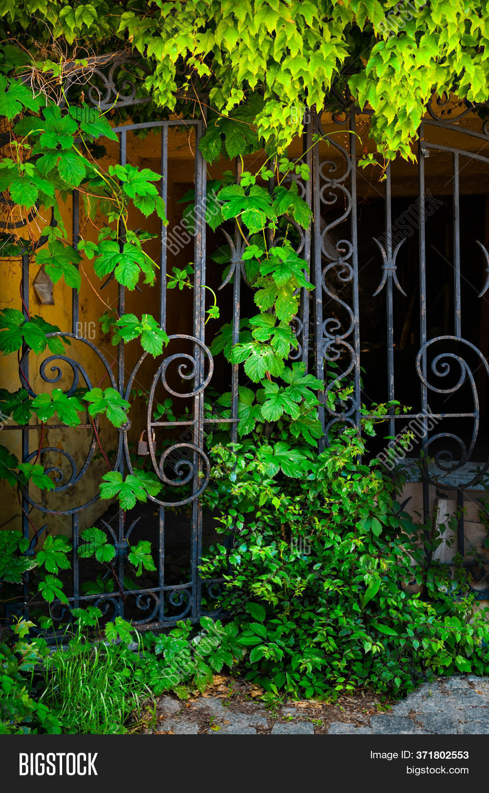 Ancient Gate Overgrown Image & Photo (Free Trial) | Bigstock