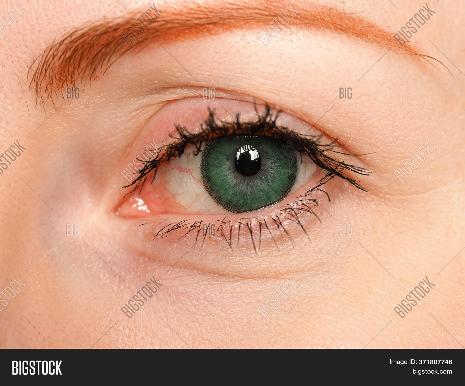 Female Left Blue Eye Image & Photo (Free Trial) | Bigstock
