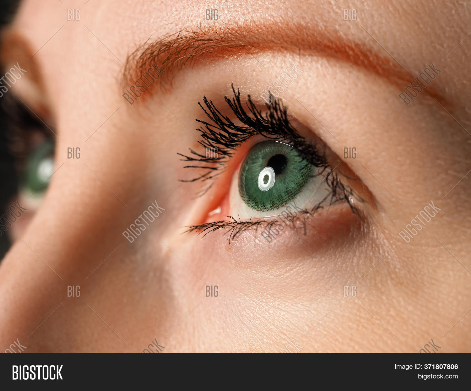 Female Left Blue Eye Image & Photo (Free Trial) | Bigstock
