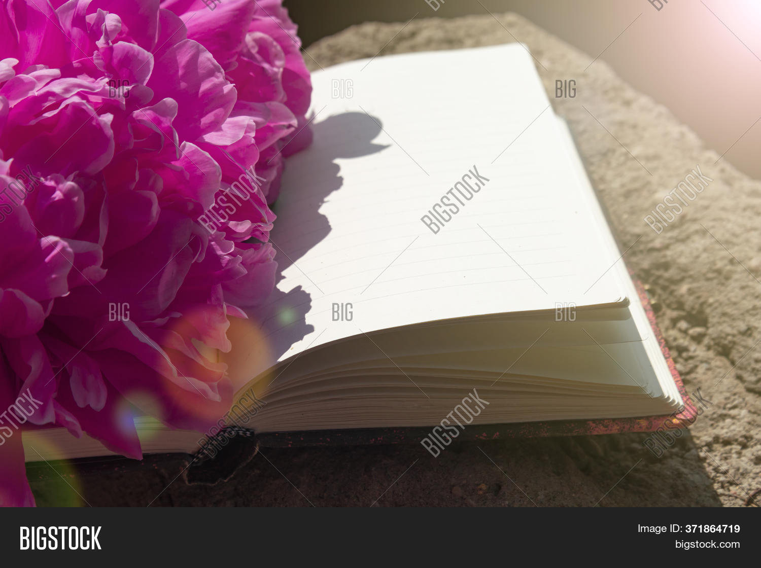 Open Diary Notebook Image & Photo (Free Trial) | Bigstock