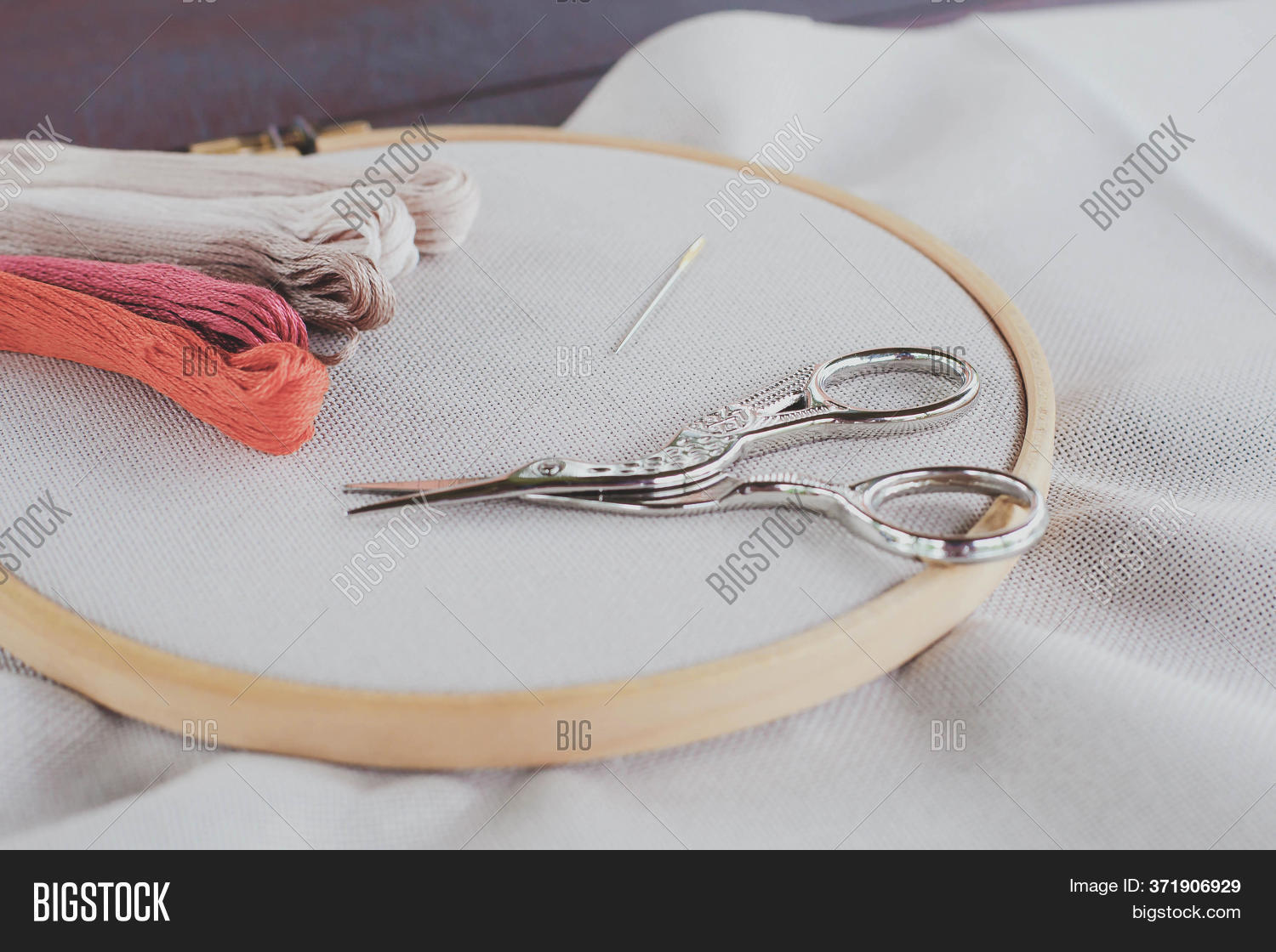 Canvas Embroidery Image & Photo (Free Trial) | Bigstock