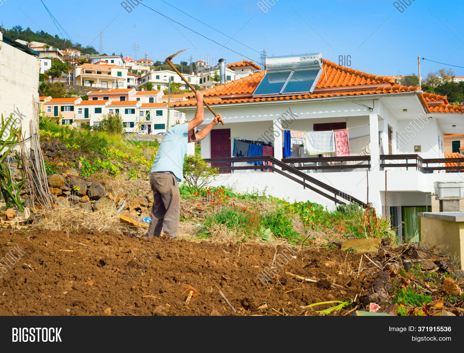 Madeira Island, Image & Photo (Free Trial) | Bigstock