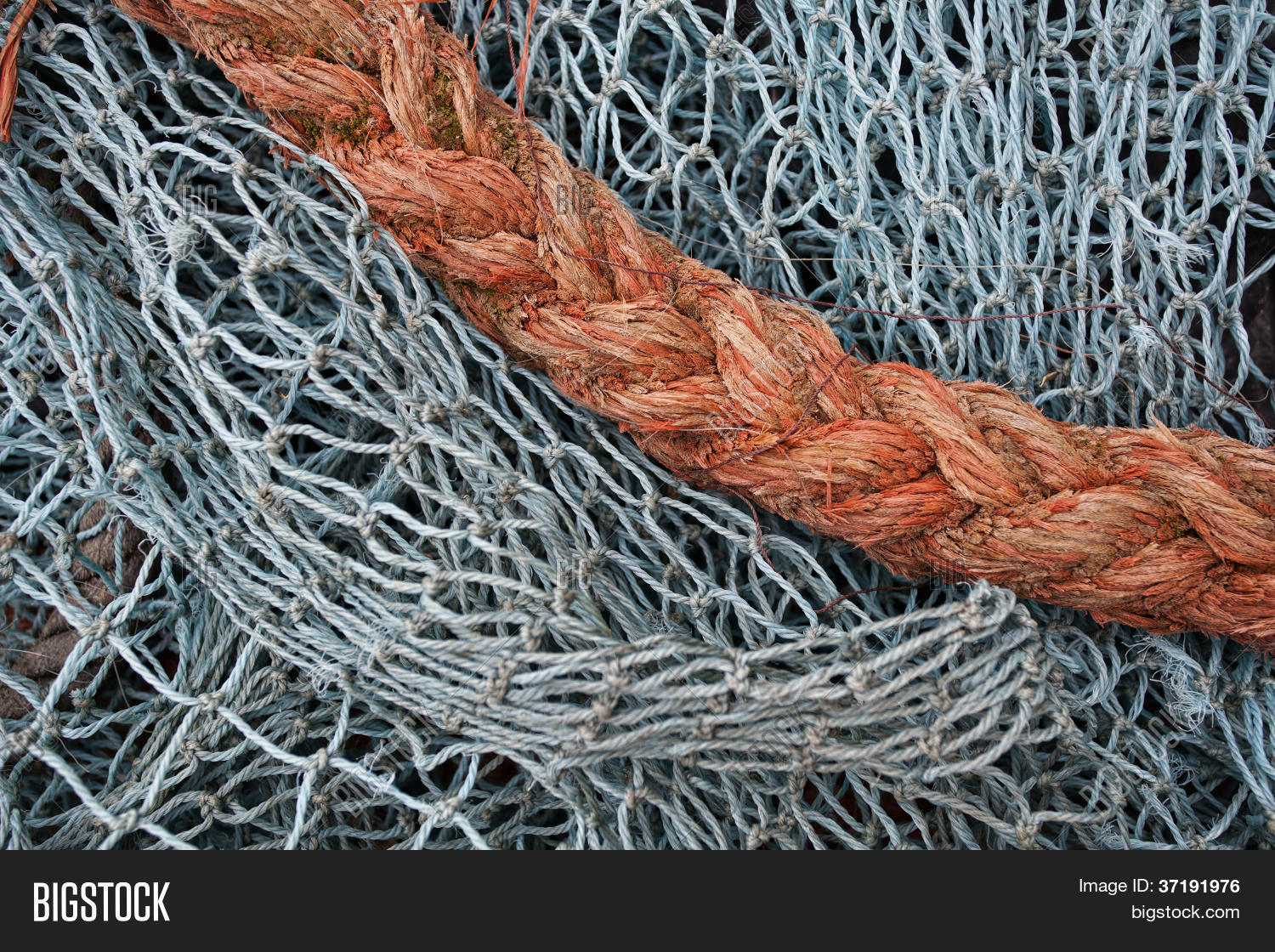 Fishing Net Rope Image & Photo (Free Trial) | Bigstock