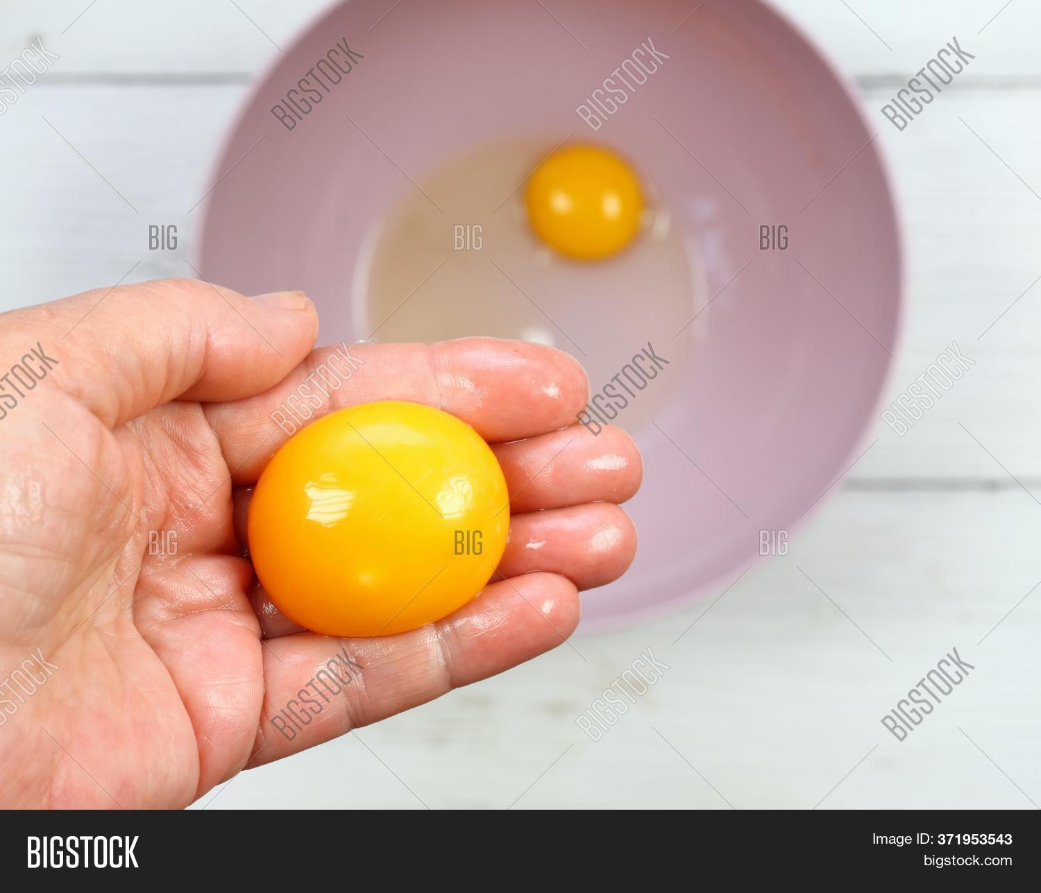 Egg Yolk Separated Image & Photo (Free Trial) | Bigstock