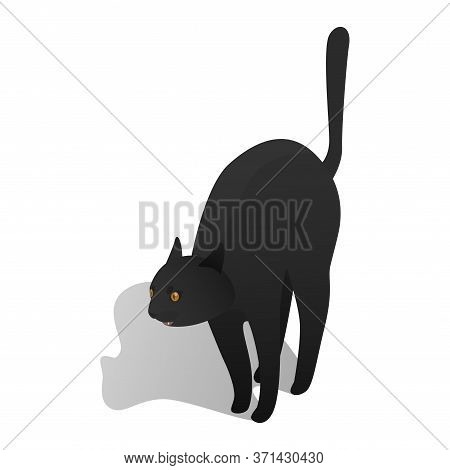 Isometric Reared Cat Vector & Photo (Free Trial) | Bigstock