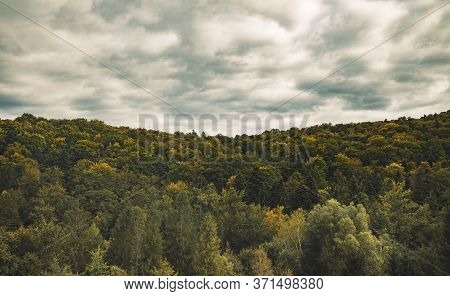 Moody Autumn Forest Image & Photo (Free Trial) | Bigstock