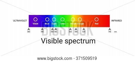Visible Spectrum Vector & Photo (Free Trial) | Bigstock