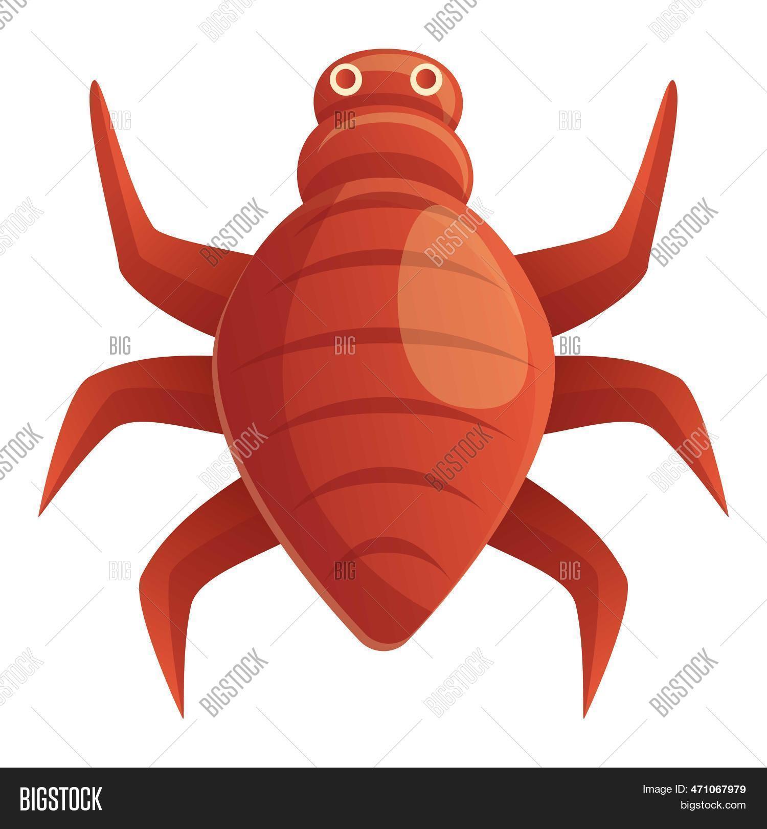 Parasite Bug Icon. Image & Photo (Free Trial) | Bigstock