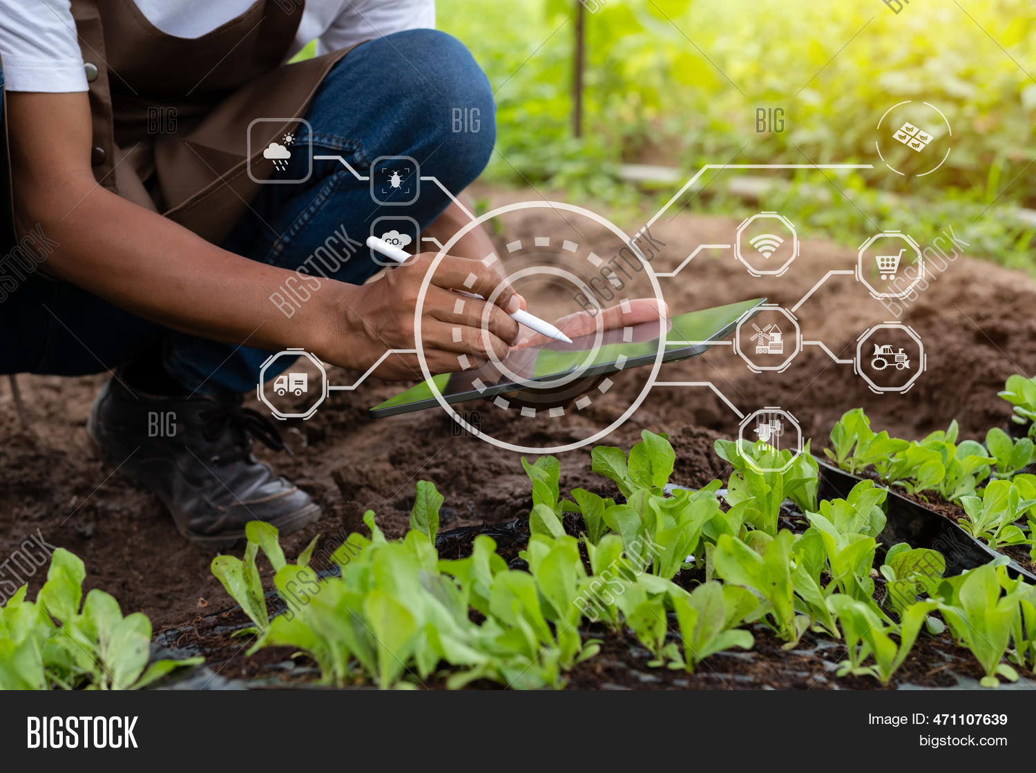 Smart Farmer Using Image & Photo (Free Trial) | Bigstock