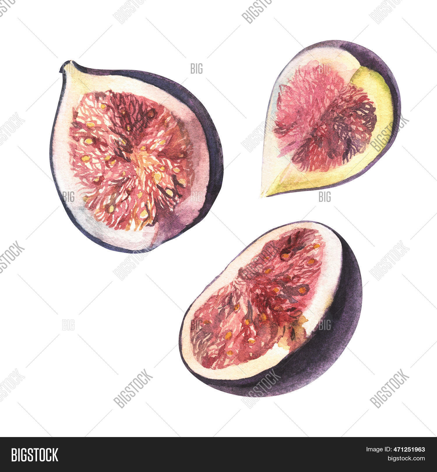 Imagen y foto Watercolor Drawing (prueba gratis) | Bigstock