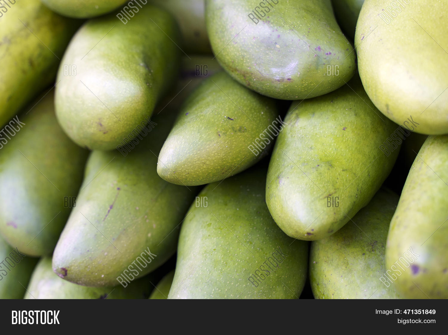 Ripe Green Mangoes Image & Photo (Free Trial) | Bigstock