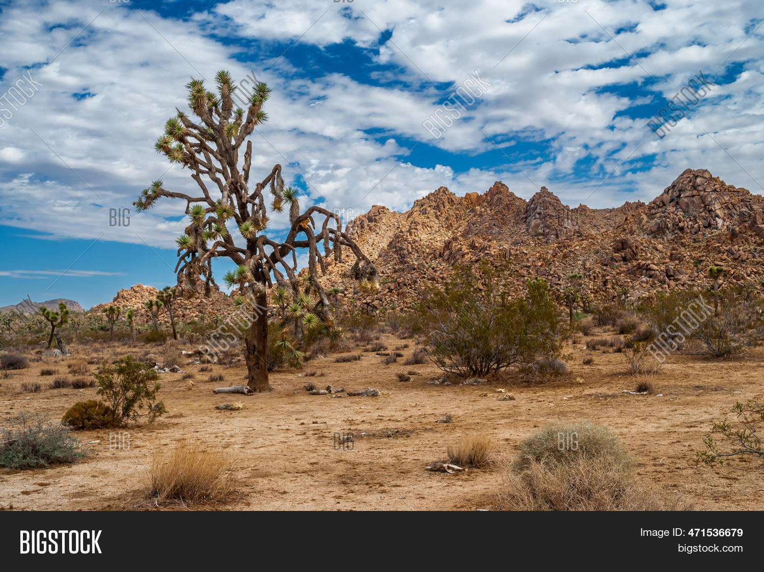 Scenic Look Inside Image & Photo (Free Trial) | Bigstock