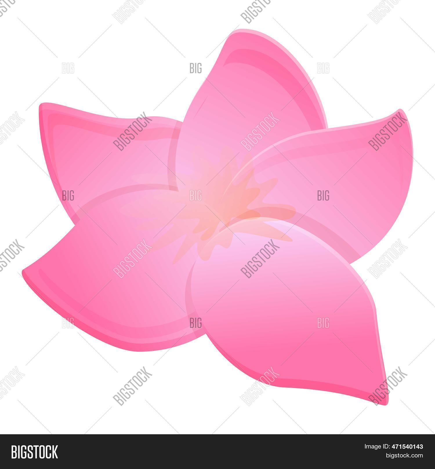Plumeria Champa Icon. Image & Photo (Free Trial) | Bigstock