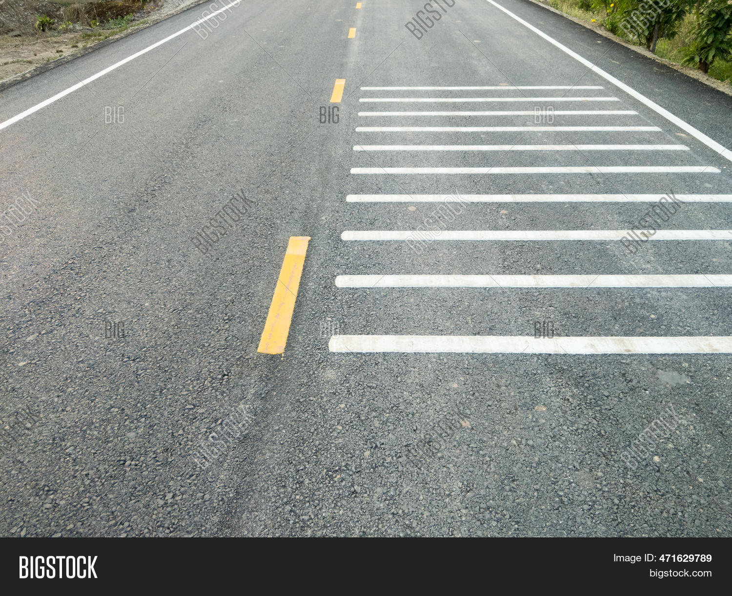 White Transverse Image & Photo (Free Trial) | Bigstock