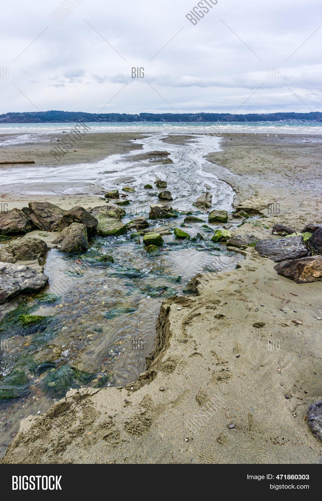 View Puget Sound Image & Photo (Free Trial) | Bigstock