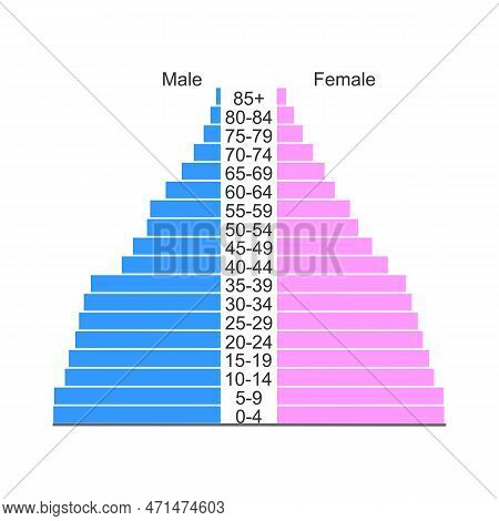 Population Pyramid Vector & Photo (Free Trial) | Bigstock