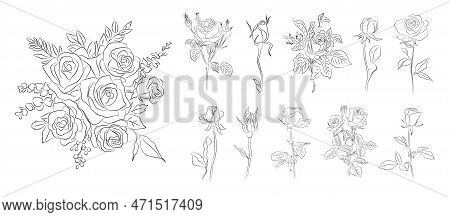 Rose Flowers Line Art Vector & Photo (Free Trial) | Bigstock