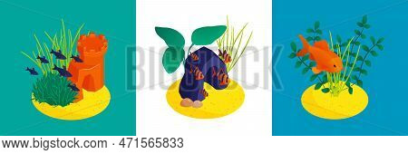 Isometric Aquarium Vector & Photo (Free Trial) | Bigstock