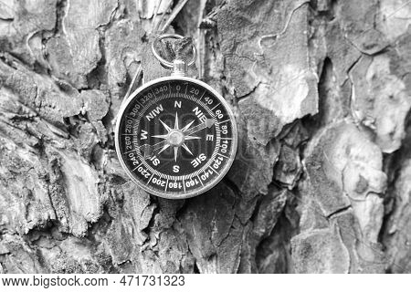 Round Compass On Image & Photo (Free Trial) | Bigstock