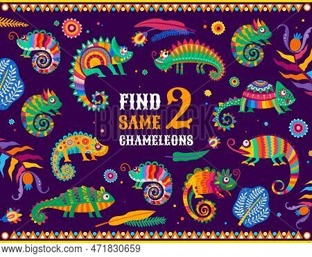 Find Two Same Mexican Vector & Photo (Free Trial) | Bigstock