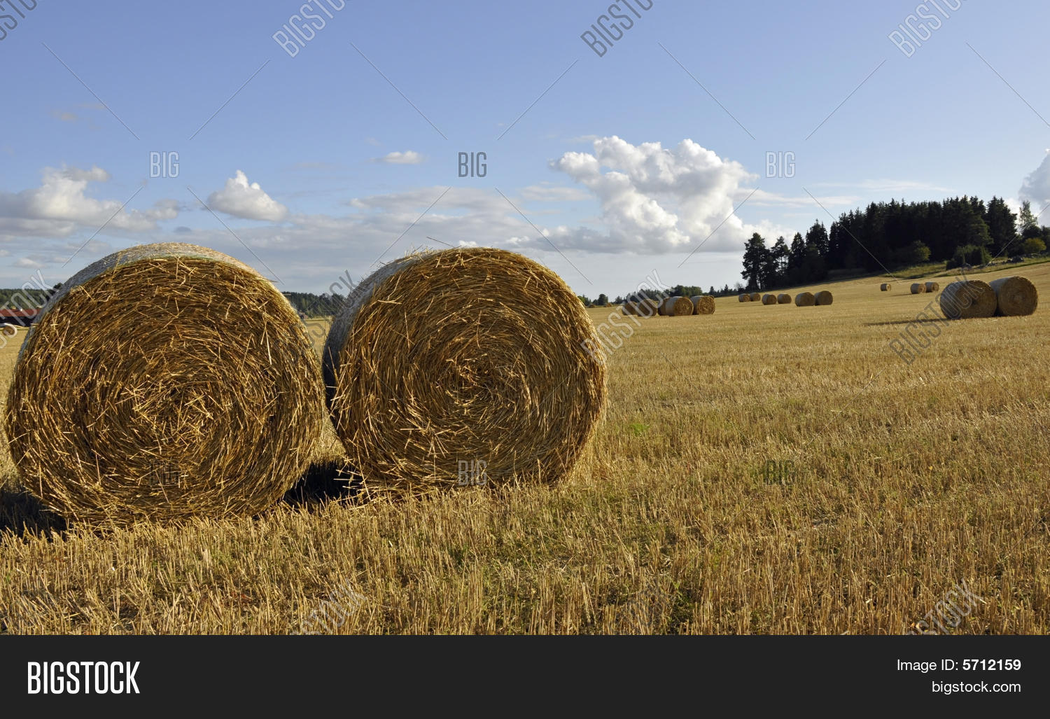 Swedish Rural Farmland Image & Photo (Free Trial) | Bigstock