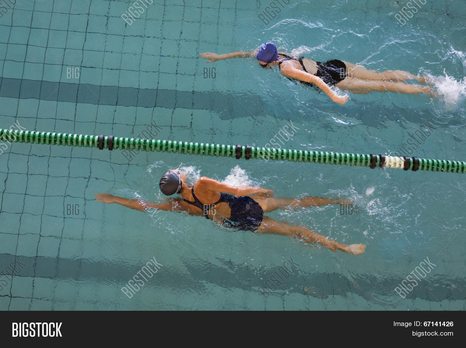 Female Swimmers Racing Image & Photo (Free Trial) | Bigstock