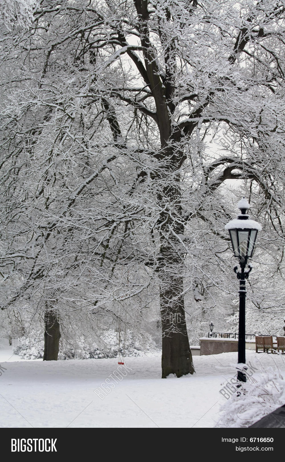 Frosted Trees Winter Image & Photo (Free Trial) | Bigstock