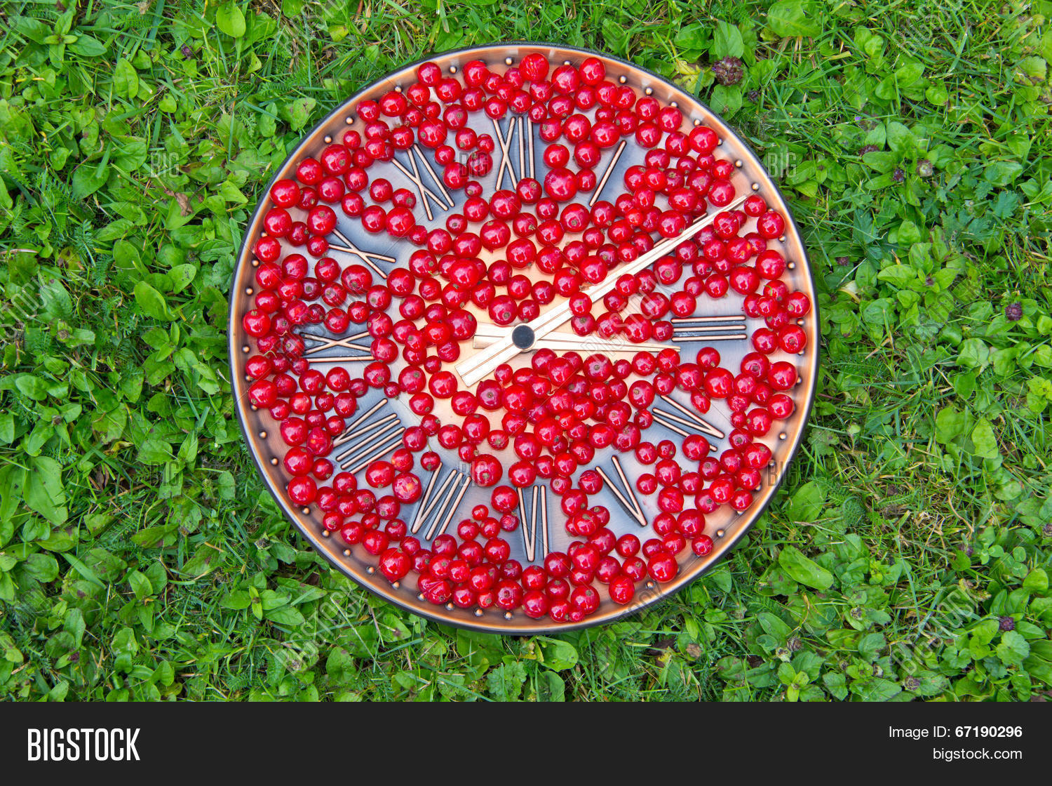Time Berries Image & Photo (Free Trial) | Bigstock