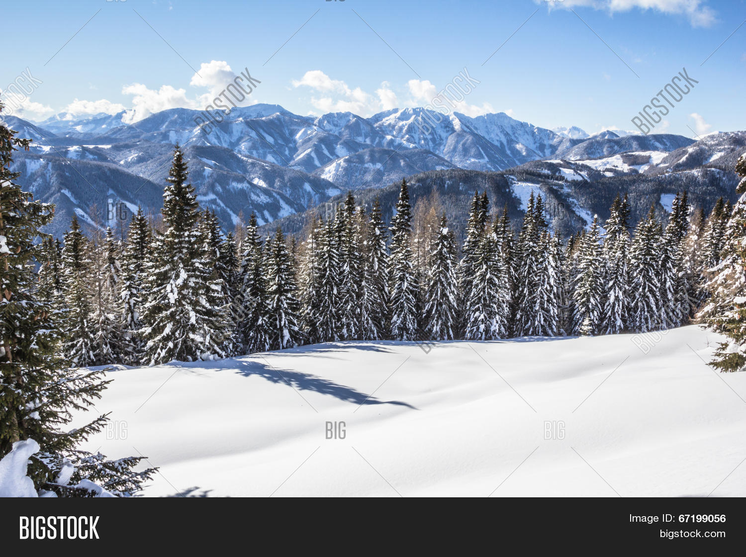 Winter Scenery Trees Image & Photo (Free Trial) | Bigstock