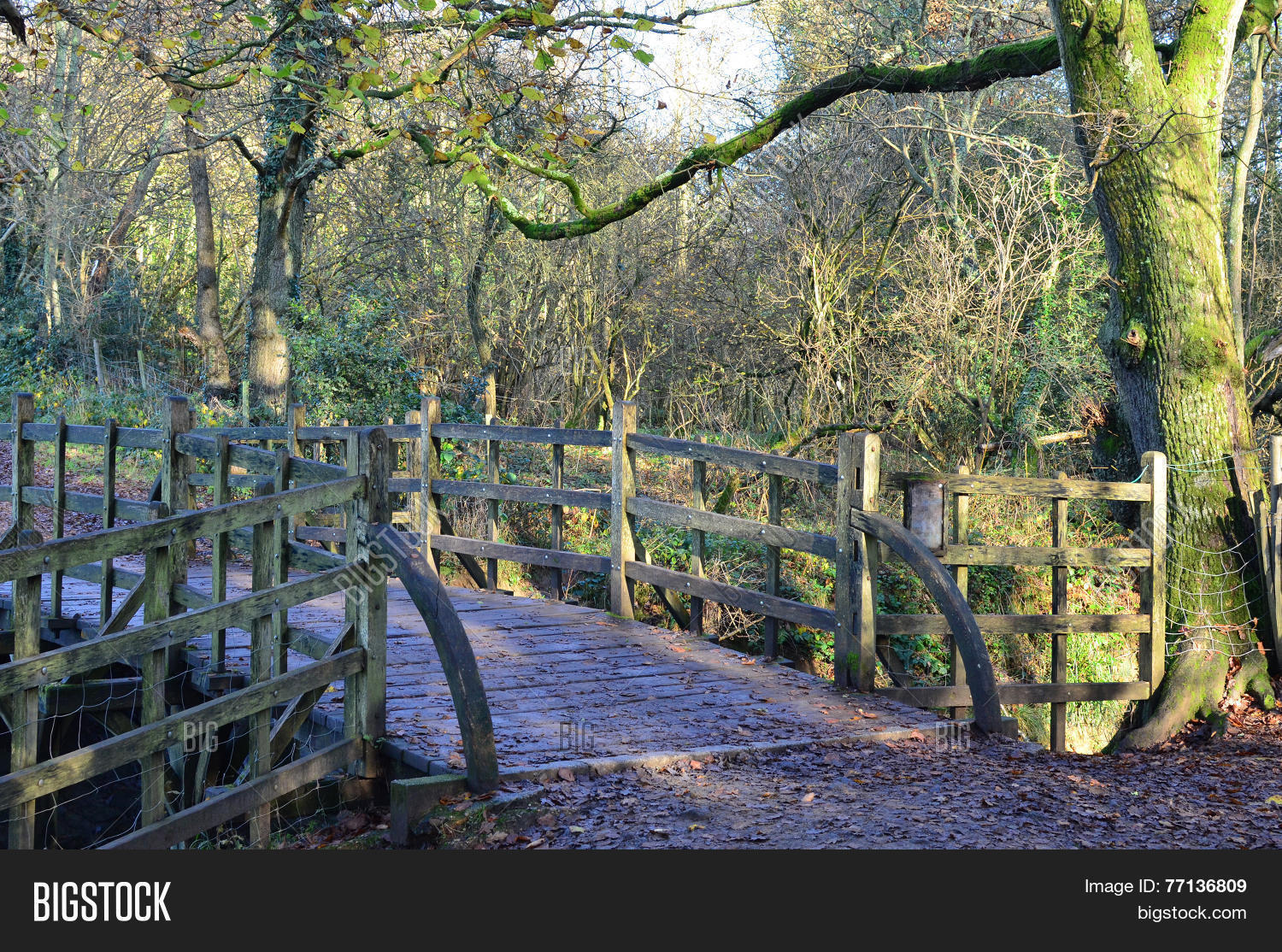 Rustic Countryside Image & Photo (Free Trial) | Bigstock
