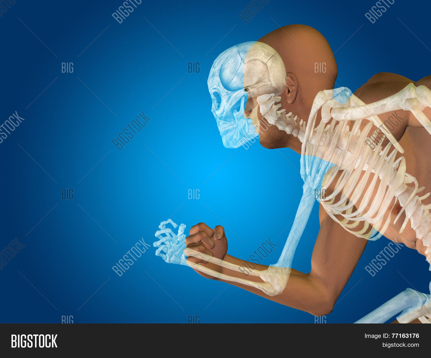 Anatomy Concept Image & Photo (Free Trial) | Bigstock