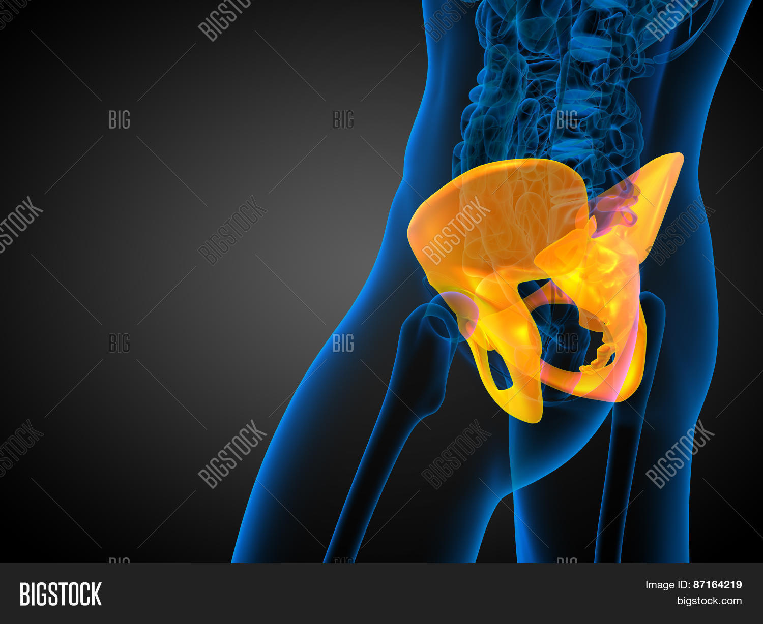 3D Render Medical Image & Photo (Free Trial) | Bigstock