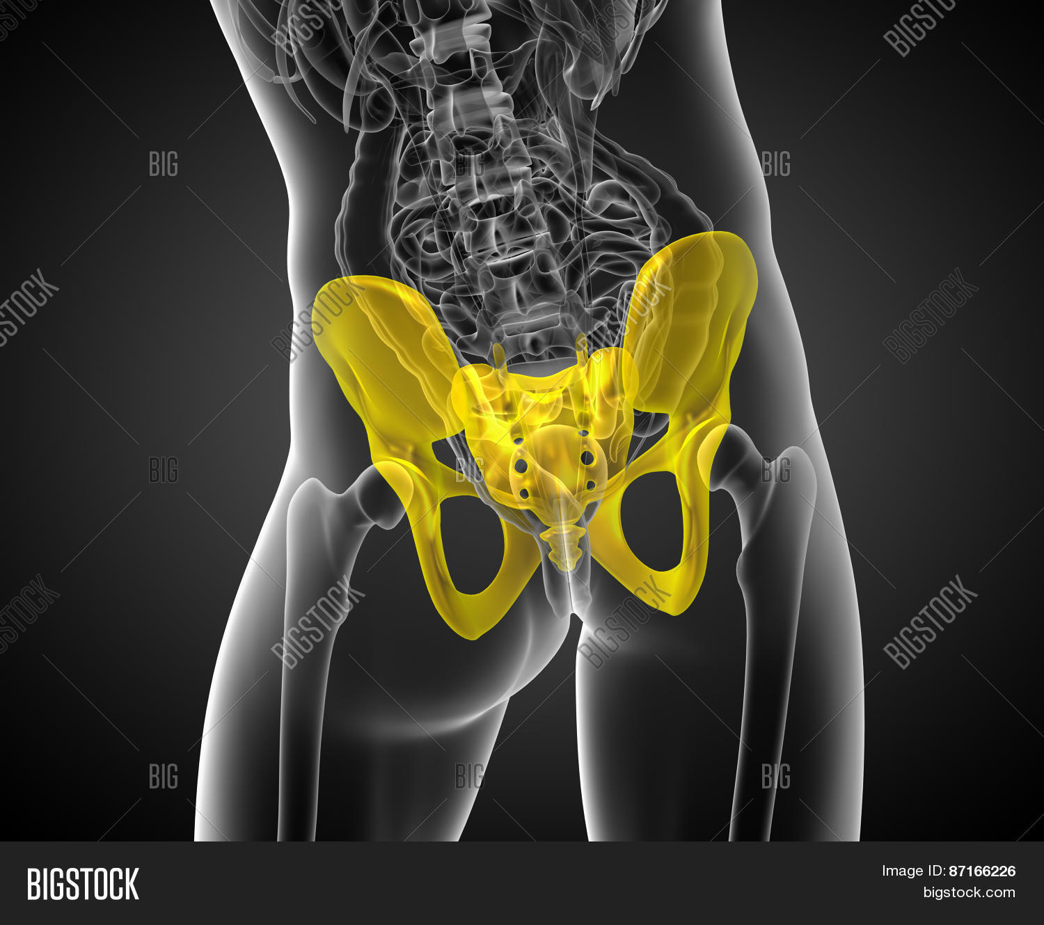 3D Medical Image & Photo (Free Trial) | Bigstock