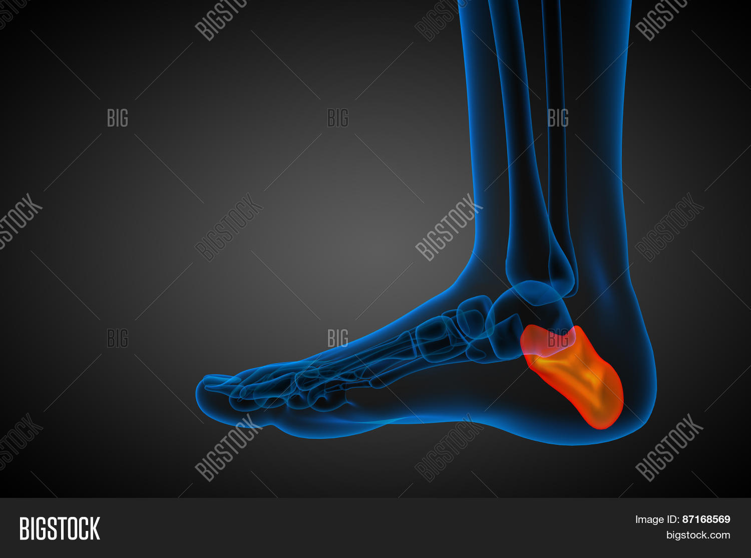 3D Render Medical Image & Photo (Free Trial) | Bigstock