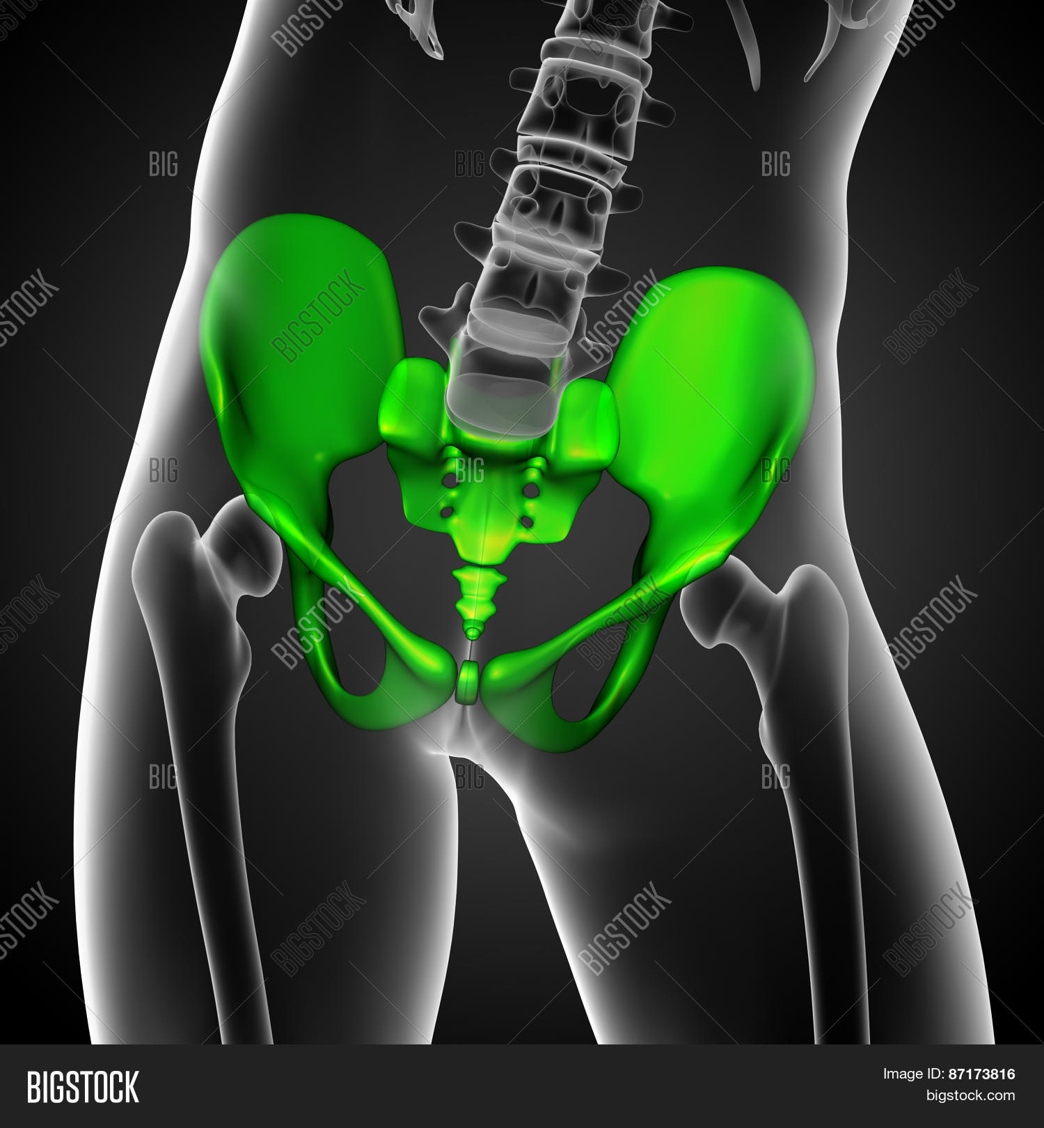3D Medical Image & Photo (Free Trial) | Bigstock