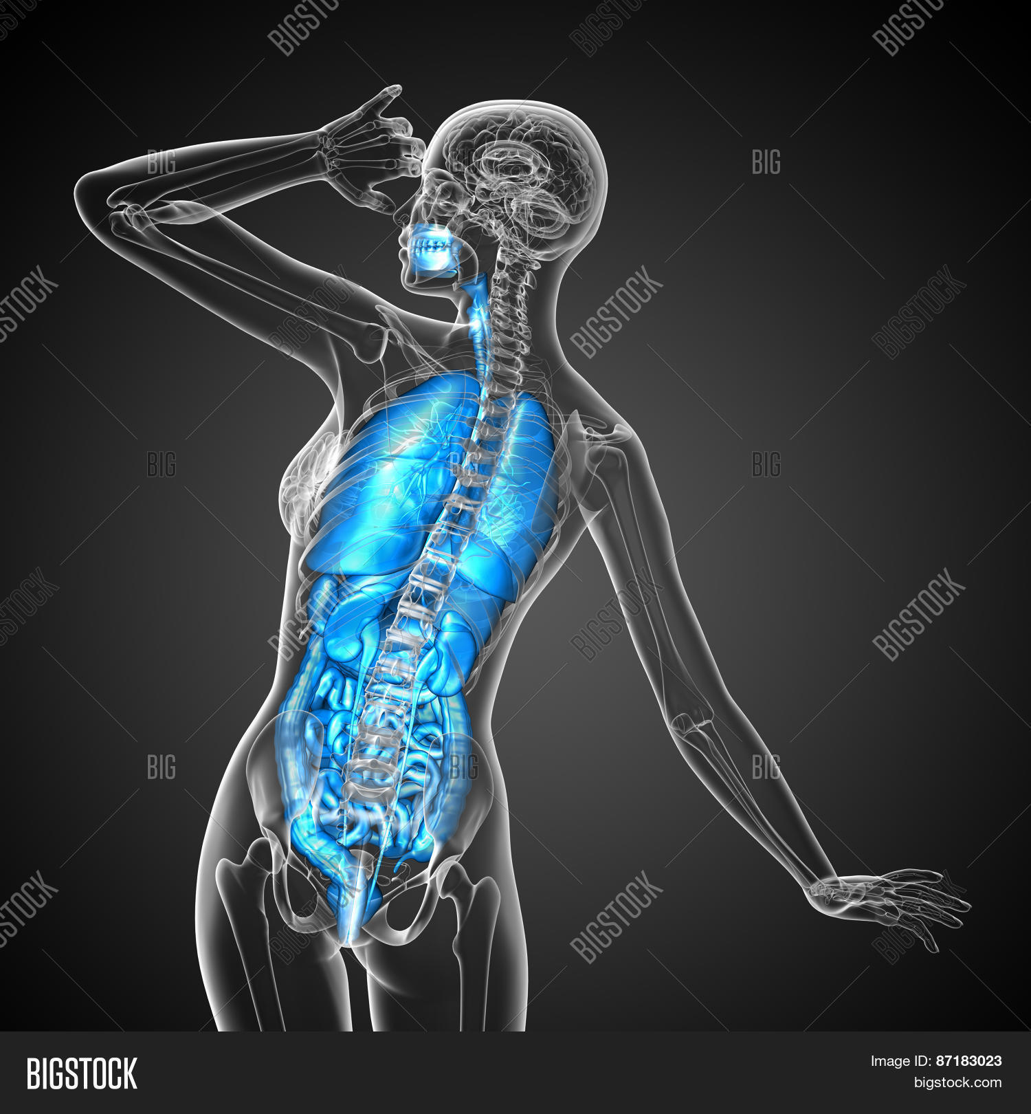 3D Render Medical Image & Photo (Free Trial) | Bigstock
