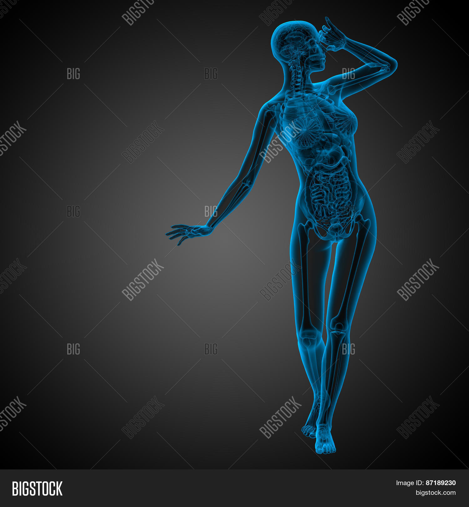 3D Render Medical Image & Photo (Free Trial) | Bigstock